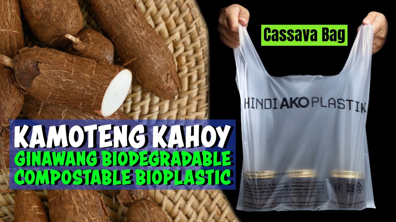 Kamoteng Kahoy, Ginawang Compostable BioPlastics - YouTube