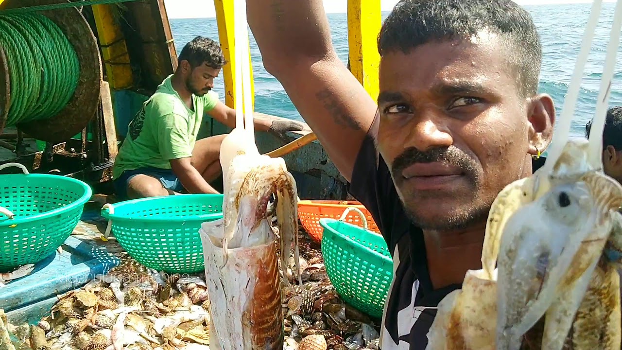 BOAT LAUNCHER NET FISHING - YouTube