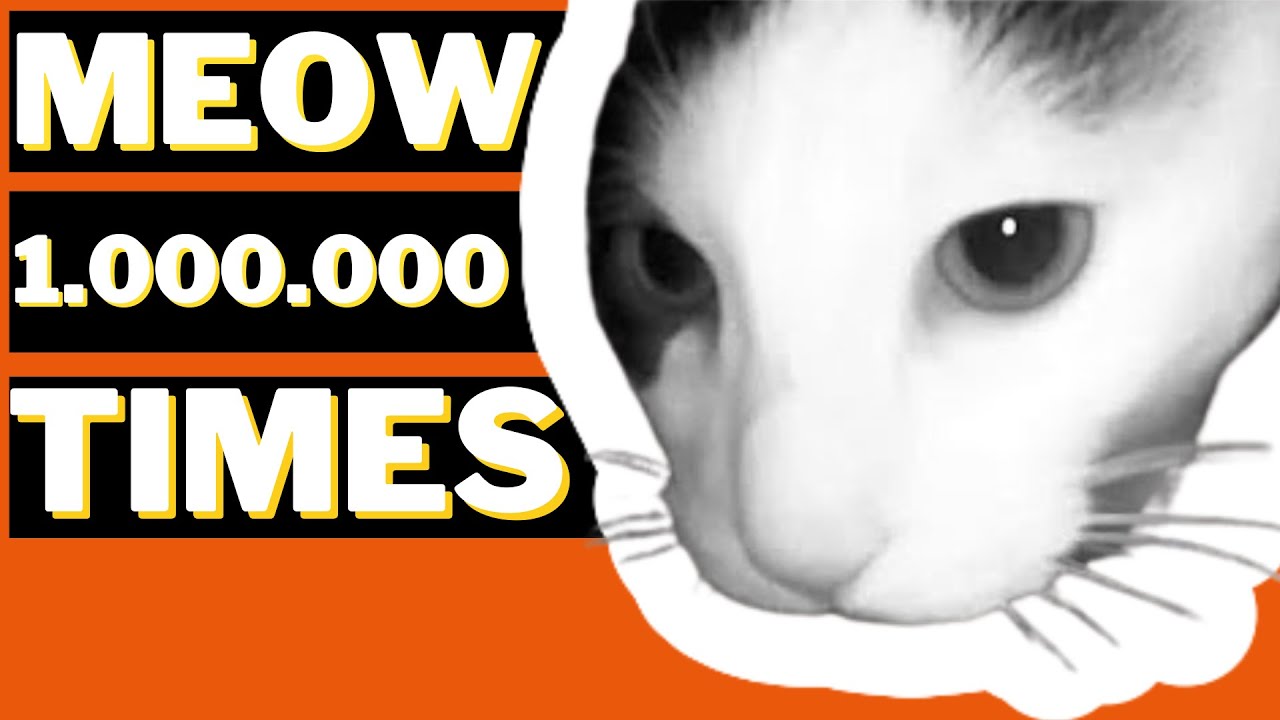 Meow mrrp 1000000 times | cat sound effect meme one million times - YouTube