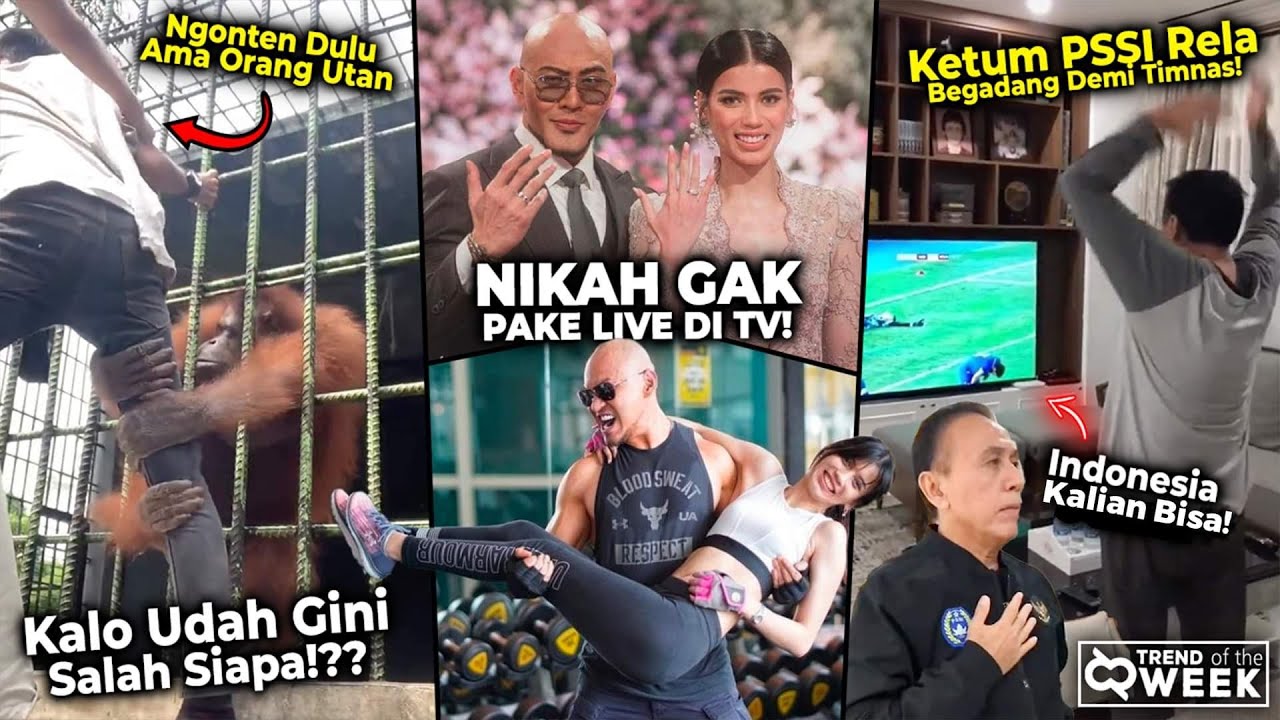 Panik Ditarik Orang Utan, Sah Deddy Corbuzier Sabrina Hingga Perjuangan ...
