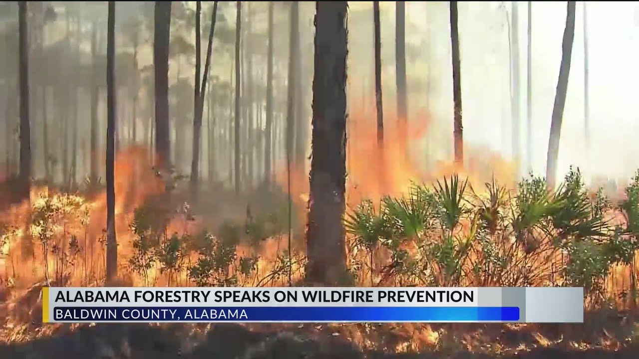 How the Alabama Forestry Commission works to prevent wildfires - YouTube