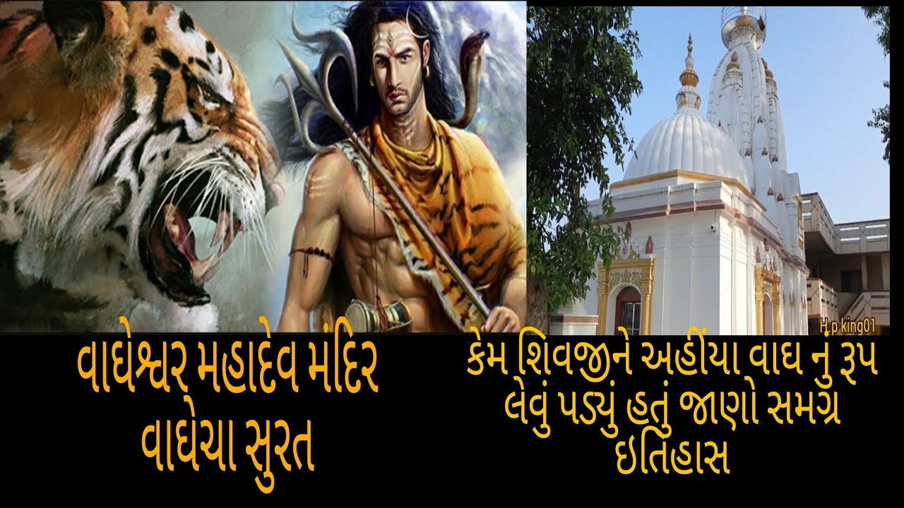 વાઘેશ્વર મહાદેવ મંદિર વાઘેચા સુરત history of vaghecha |vagheshwar ...