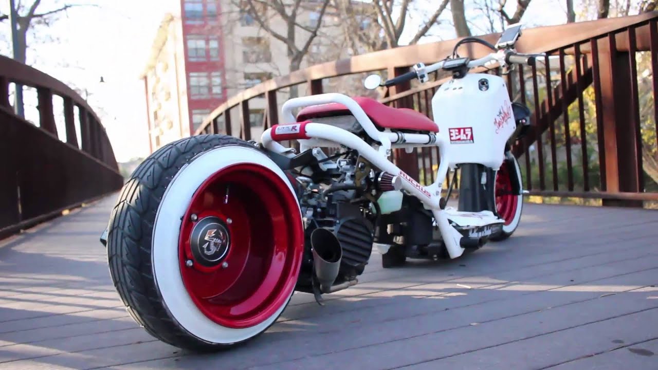 Paaul Slammed Ruckus - YouTube