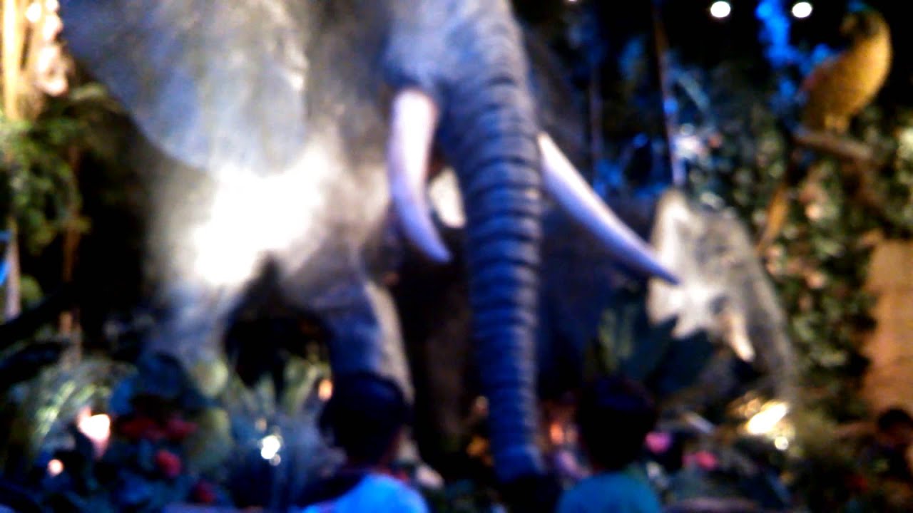 Rainforest cafe elephants - YouTube