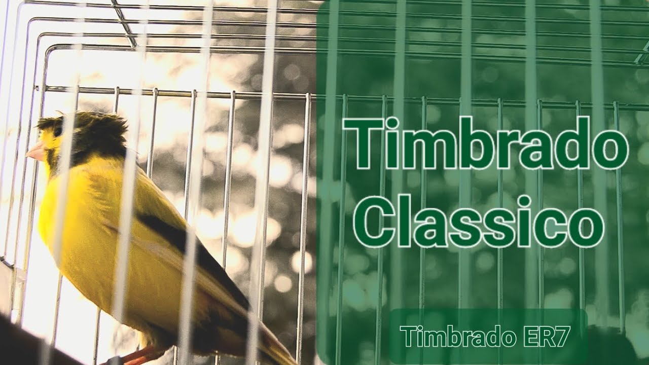Timbrado Español Classico Original 22/38 - YouTube