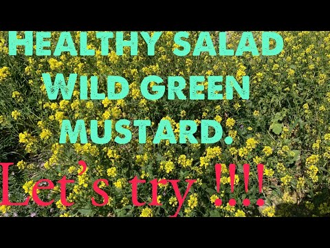 Healthy salad from the wild,try nyo guys!! - YouTube