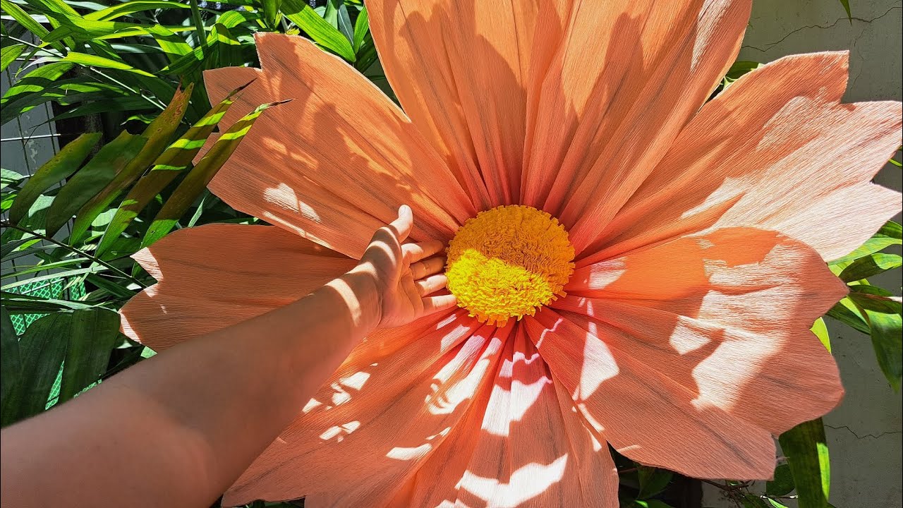 COSMOS - How To Make Giant Cosmos Flower Tutorial Using Crepe Paper ...