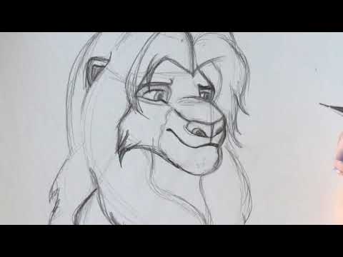 رسم سيمبا خطوة بخطوة How to Draw Simba (Grown Up) from the Lion King ...