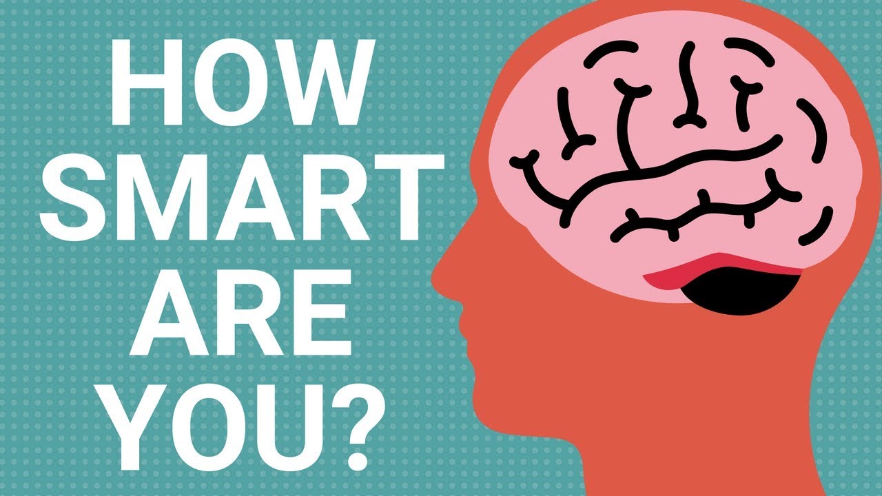 HOW SMART ARE YOU? - General Knowledge Test (High School Edition) - YouTube