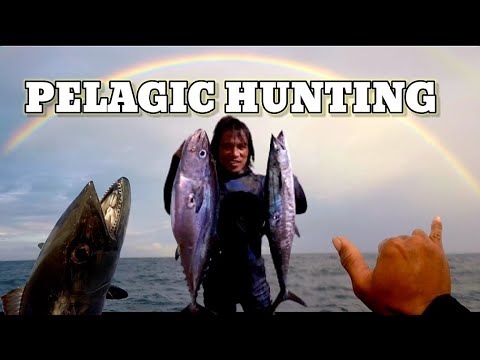 PELAGIC HUNT 2024 || Gabby Ramal - YouTube