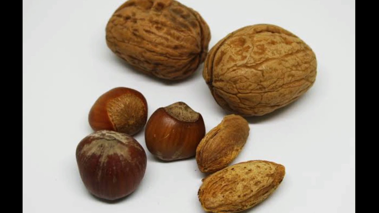 faa idooyinka cajiibka ee miraha looska iyo waxtarkooda - YouTube