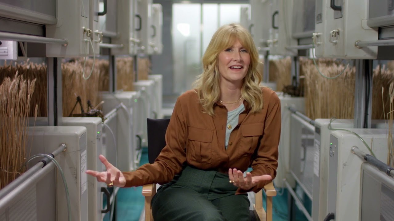 Jurassic Park Ellie Sattler