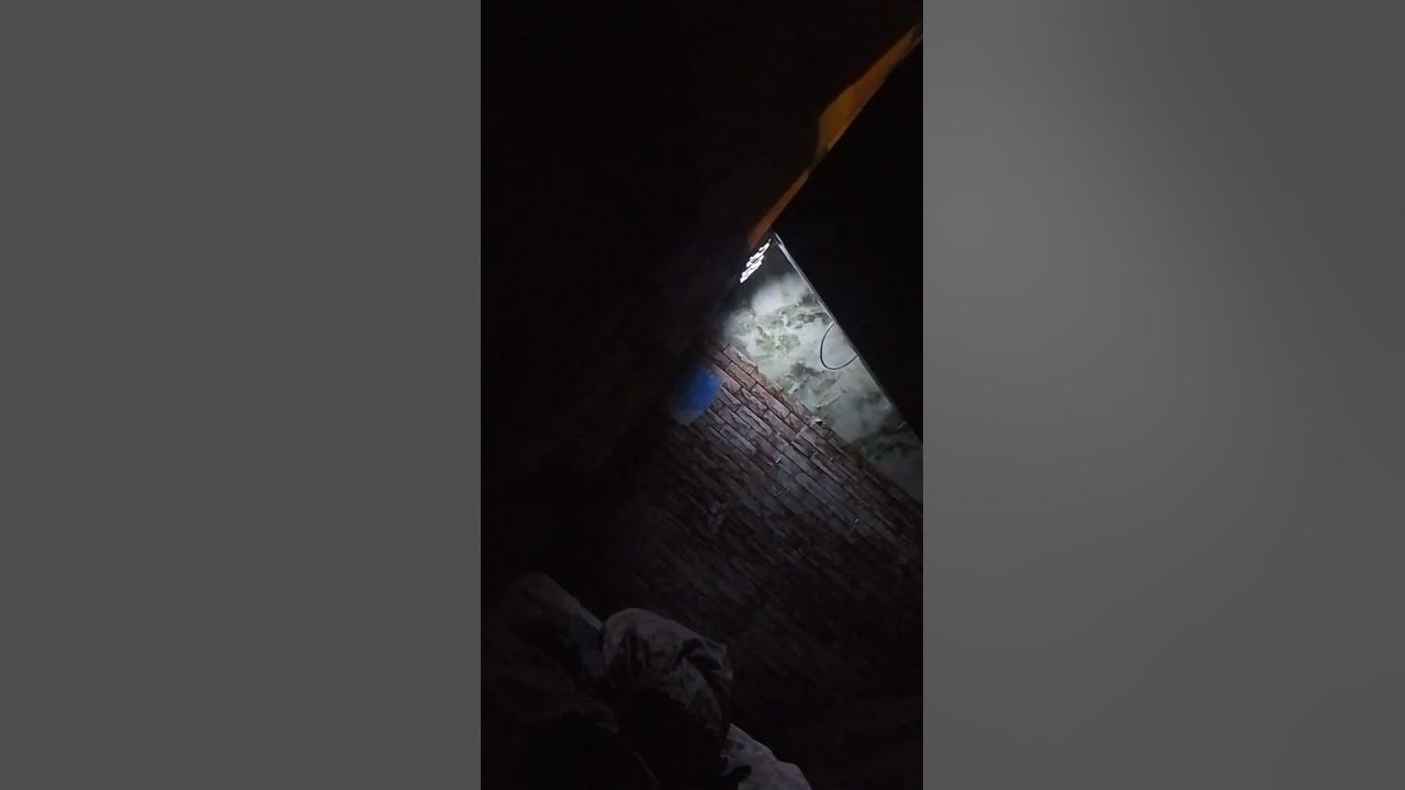 It's been a ruff time for Roblox YouTubers man I didn't even know what happened bye now - YouTube