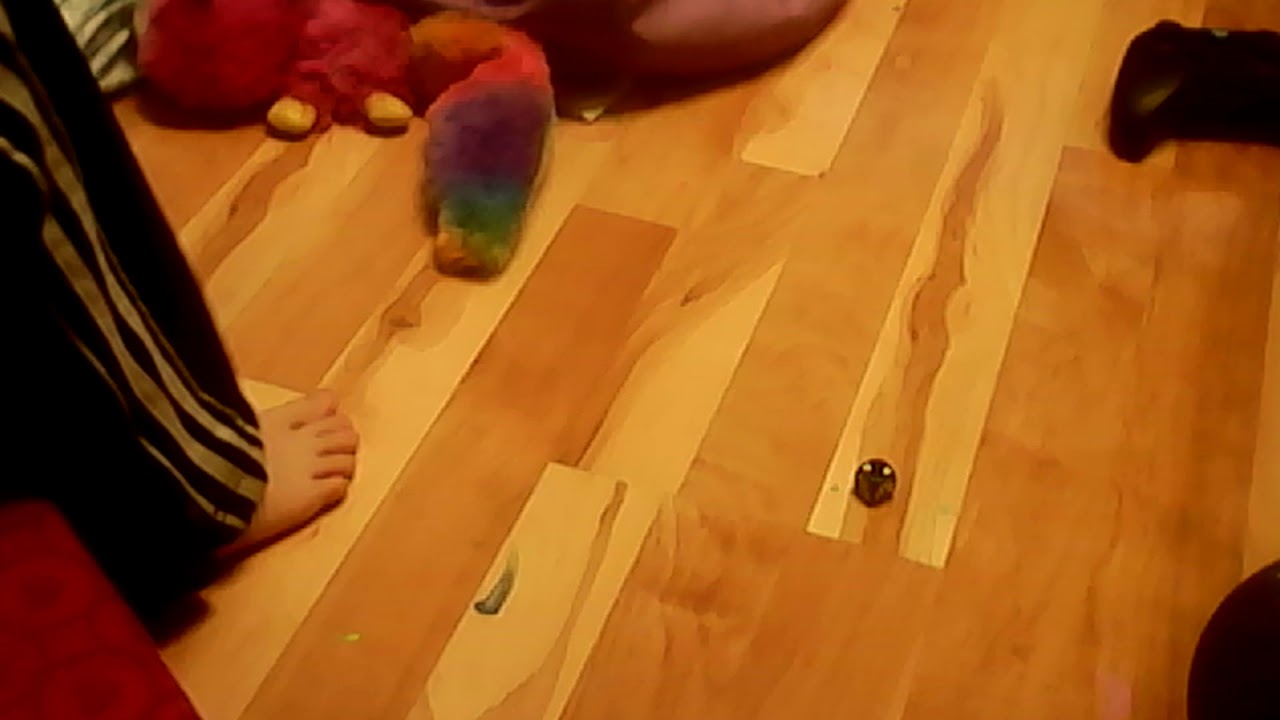 Hide - N - Seek w/Caydence Martin Episode.1 - YouTube