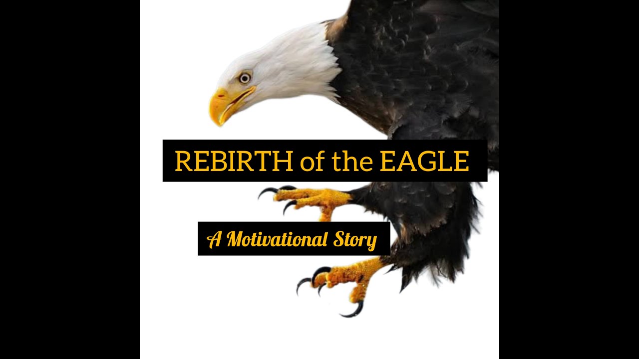Inspiring story of "eagle REBIRTH "#trending eagle #life story - YouTube