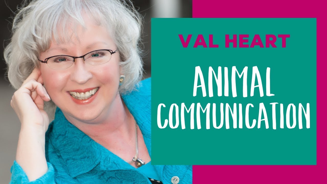 Animal Communicator, Val Heart | Animal Intelligence - YouTube