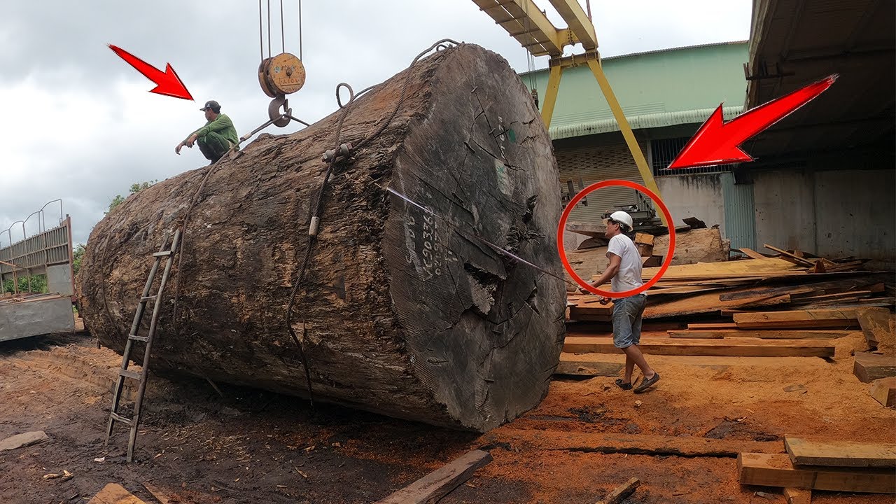 [ Big Wood Tree ] Machine saws giant trees into super thick wooden ...