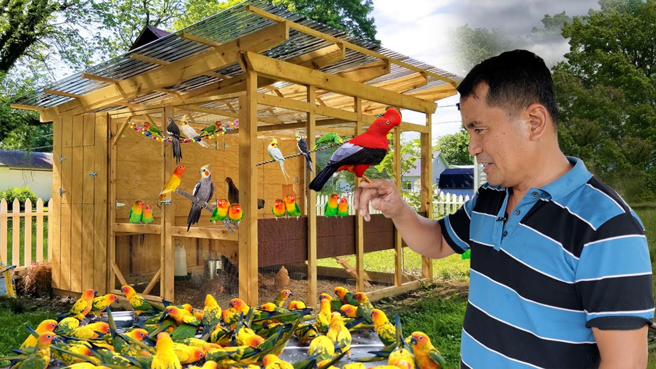 I Didn't Expect This!! My Birds Finally Produce Hundreds of Babies ...