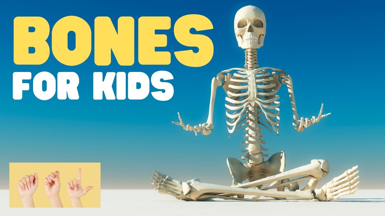 ASL Bones for Kids - YouTube