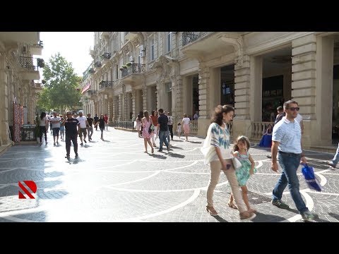 Əcnəbi vətəndaşı meymun dişləyib