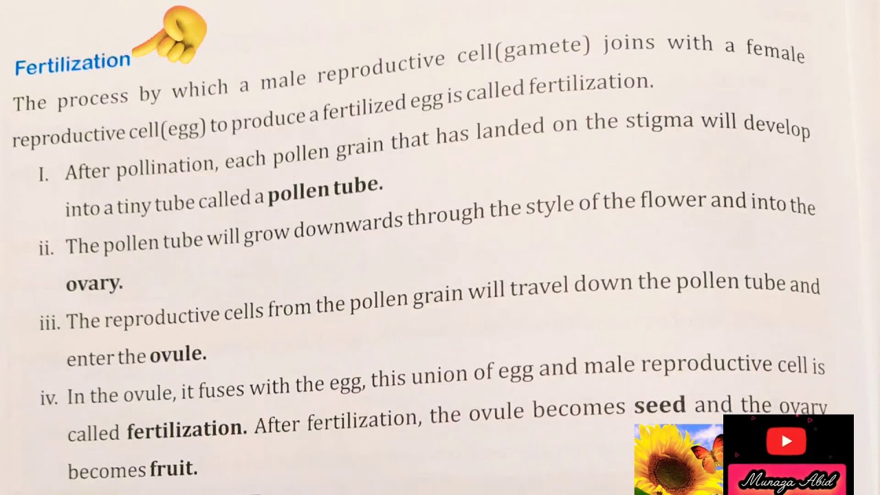 Fertilization in flowering plants Grade 4 lecture 5 - YouTube