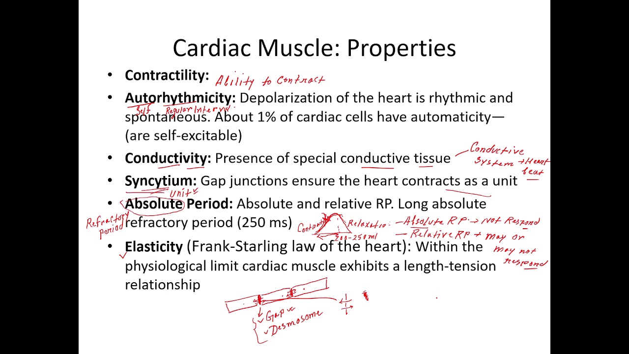 CVS Part II PPT - YouTube