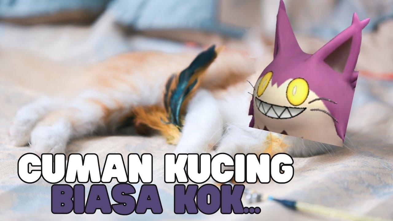 Dapet kucing LUCU!! #palworld #gaming #mediashareon #streamer - YouTube