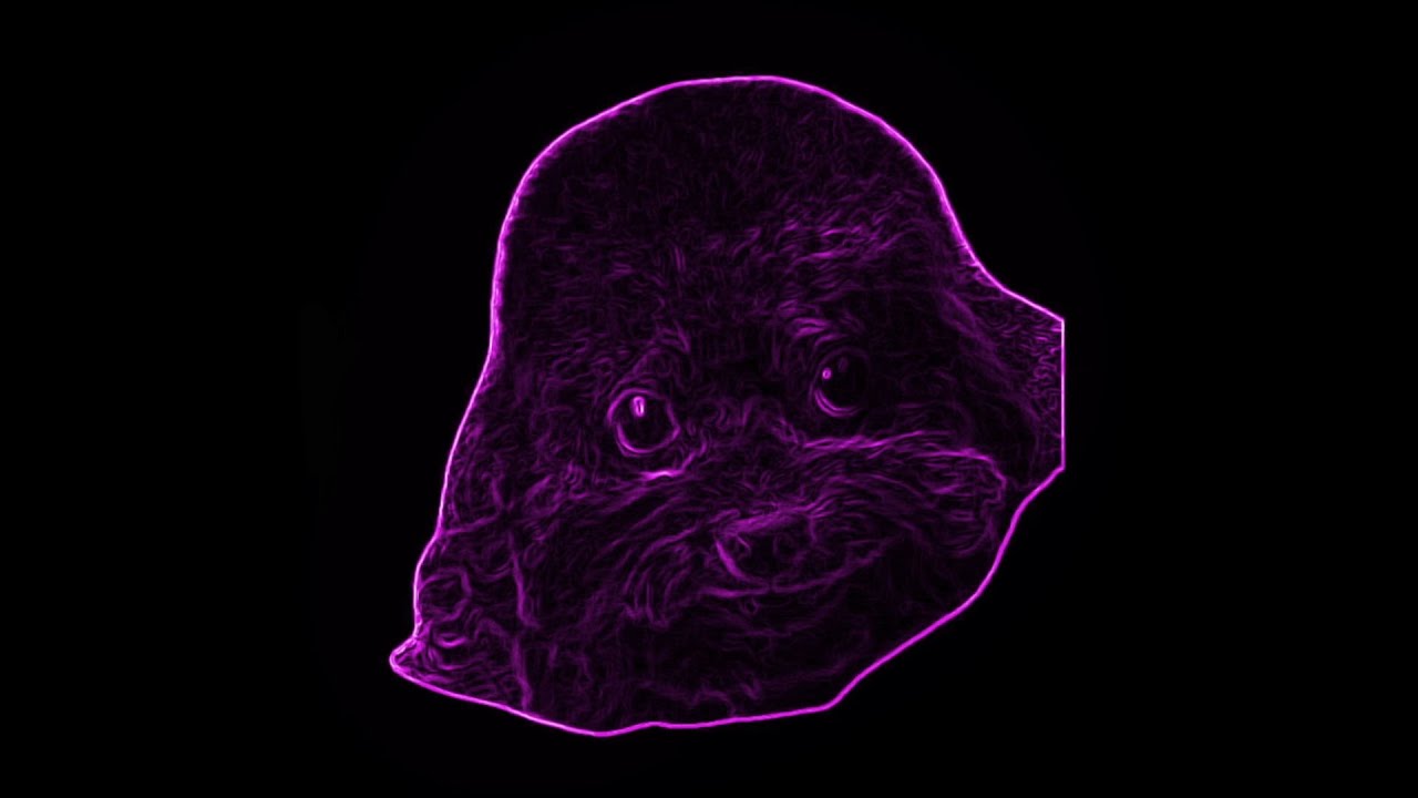 Chinese Dog Rapping Vocoded To Gangsta's Paradise, Miss The Rage ...