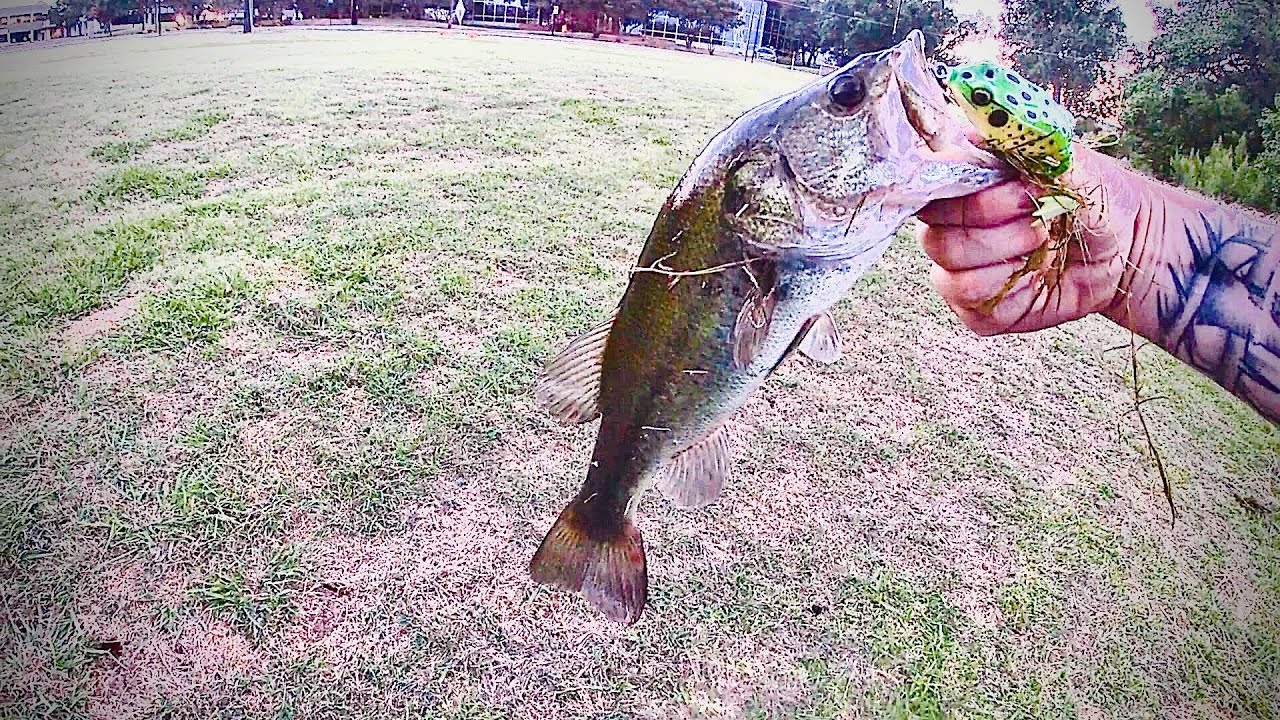 Stadium Pond Plussssss Six flags - YouTube