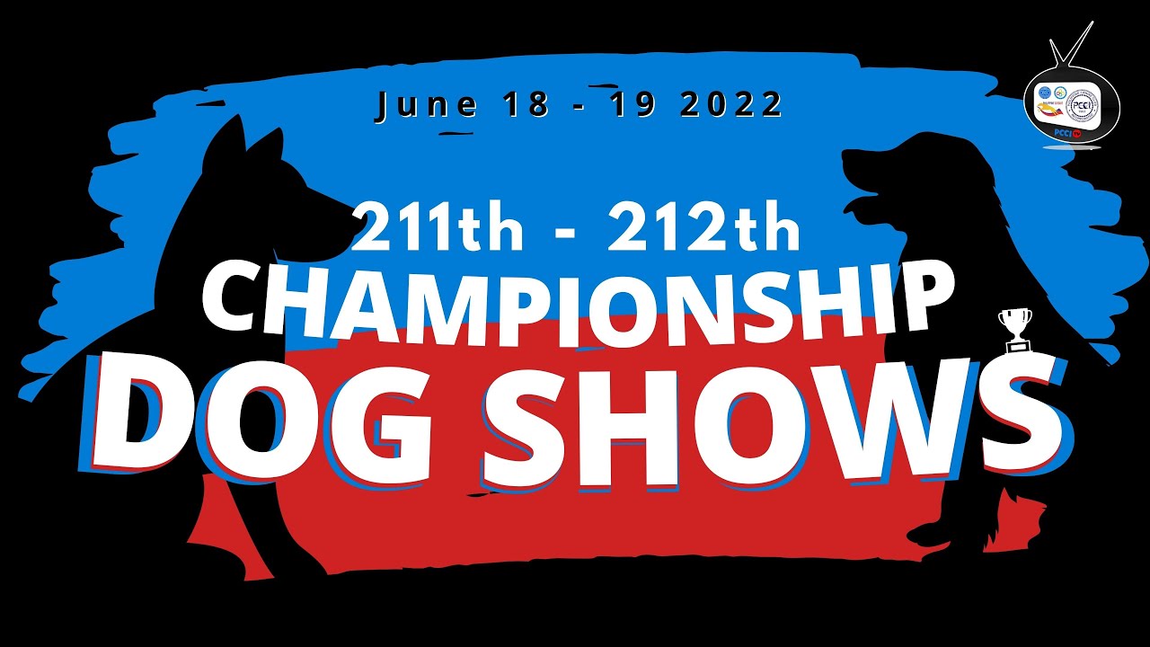 211th 212th FCI ALL BREED DOG SHOWS YouTube 211th-212th-fci-all-breed-dog-shows-youtube