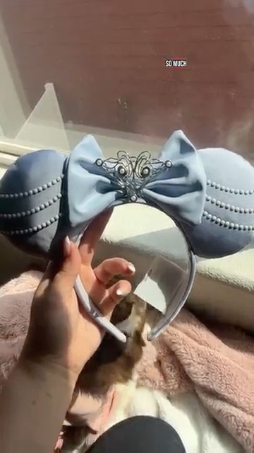 Unboxing the NEW Padme Ears 20th anniversary #disney #padme #baublebar ...