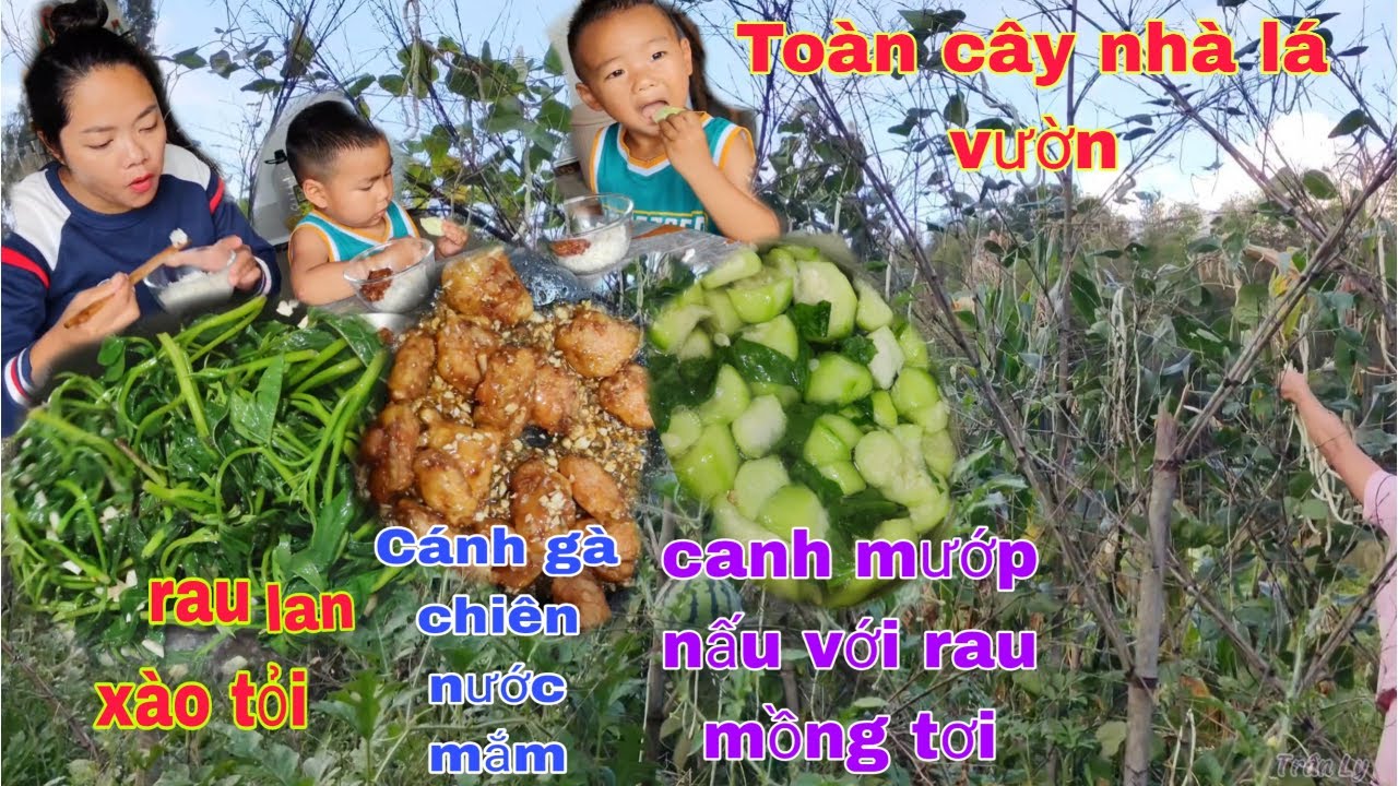 Vlog311_Cuộc sống thường ngày _Trần Ly Family cuộc sống Trung Quốc ...