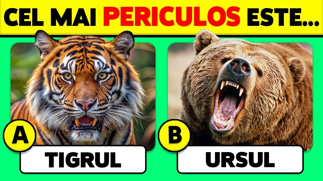 🧠 Cât De Bine Cunoști ANIMALELE? 🦁🐻🐳 45 De Întrebări Despre Animale ...