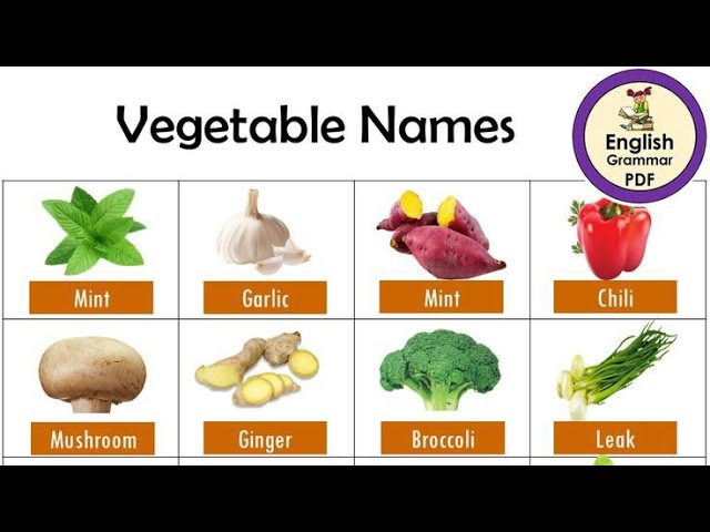 Vegetable Names In English With Pictures Pdf 100+ Vegetable Names: