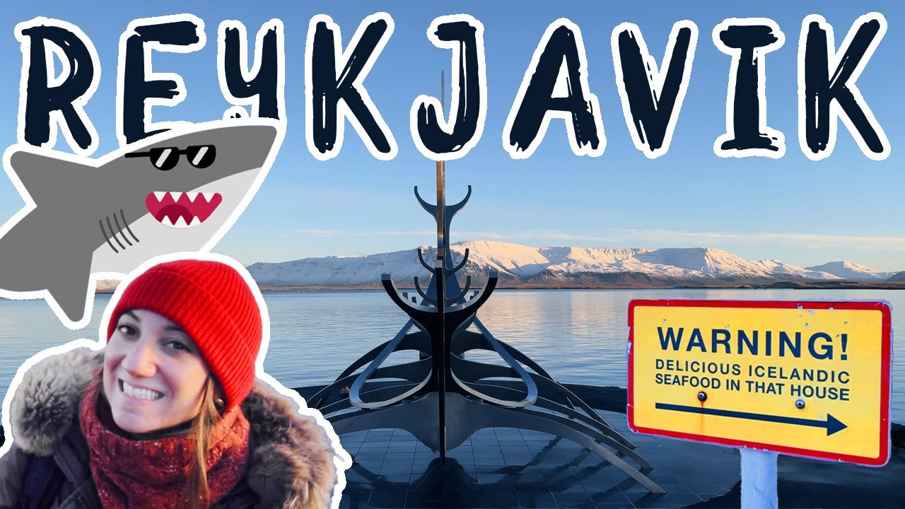 FERMENTED SHARK and WHALE FIN in REYKJAVIK, ICELAND! #Yummi or #Gross ...