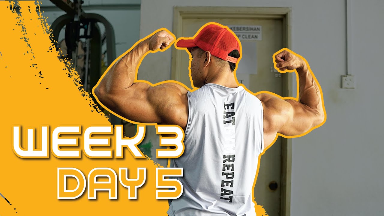 WORKOUT ROUTINE │ Week 3 Day 5 , EXERCISES for BACK & BICEPS !!! - YouTube