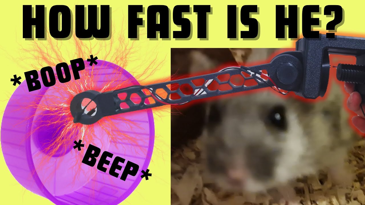 I build a hamster wheel counter - YouTube