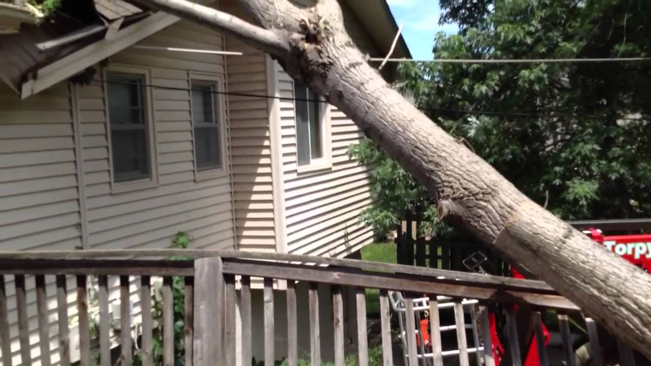 Get It Off My House! (Torpy Tree Pt. 12) - YouTube