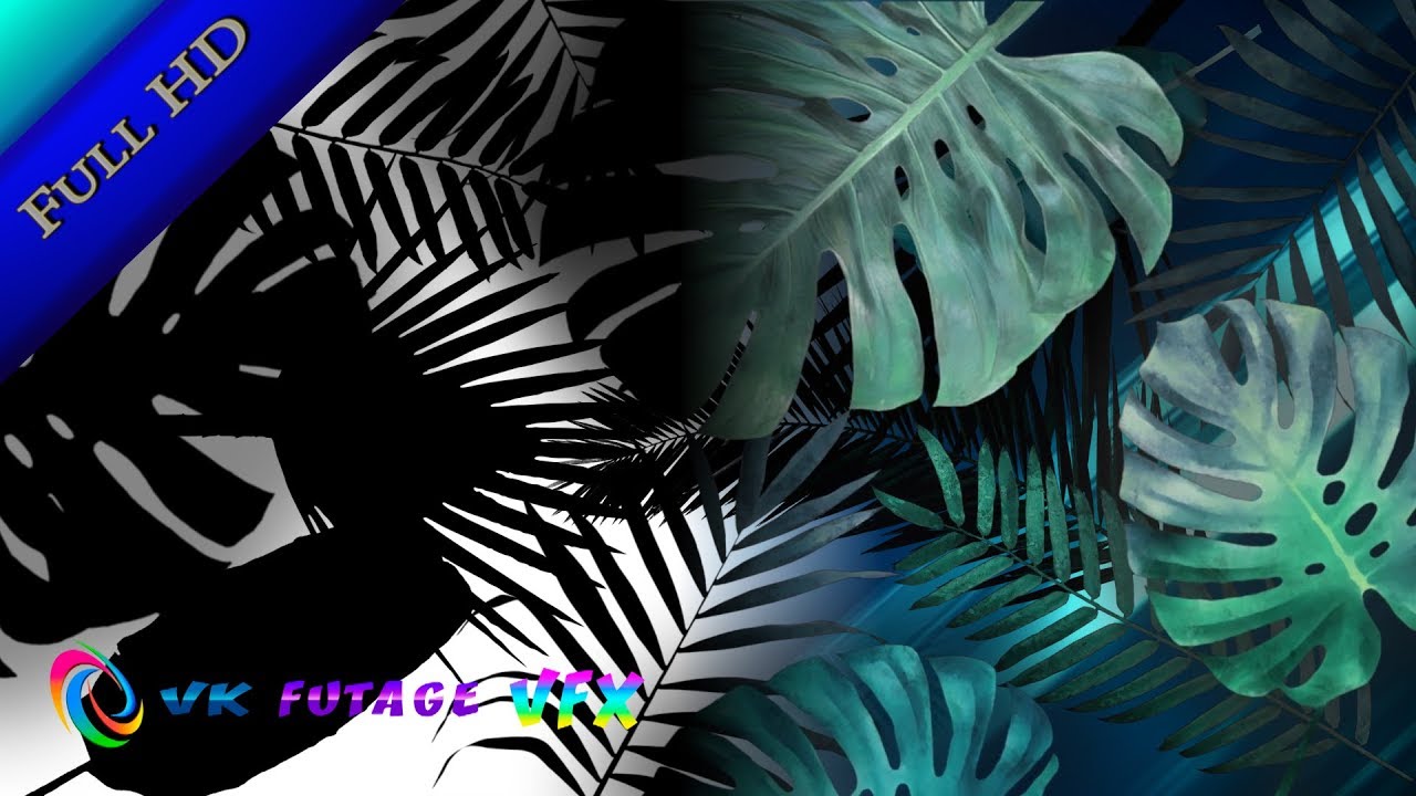 04 Tropical transition (Vignettes) Matte footage - YouTube