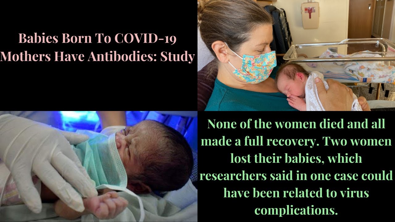 Babies Born To COVID-19 Mothers Have Antibodies: Study - YouTube