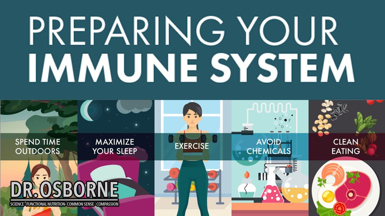 Get your immune system prepared for fall and winter! - YouTube