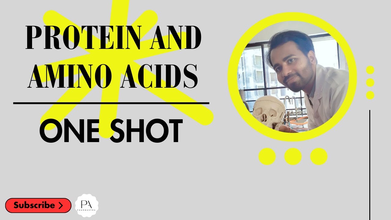 Amino acids and Proteins| One shot| Biochemistry| b pharma |second sem ...