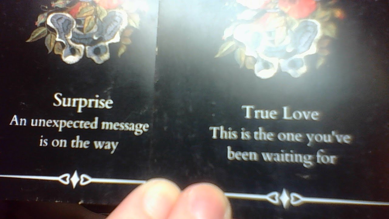 WATER SIGNS🌊~SURPRISE~The message you've been waiting for - YouTube