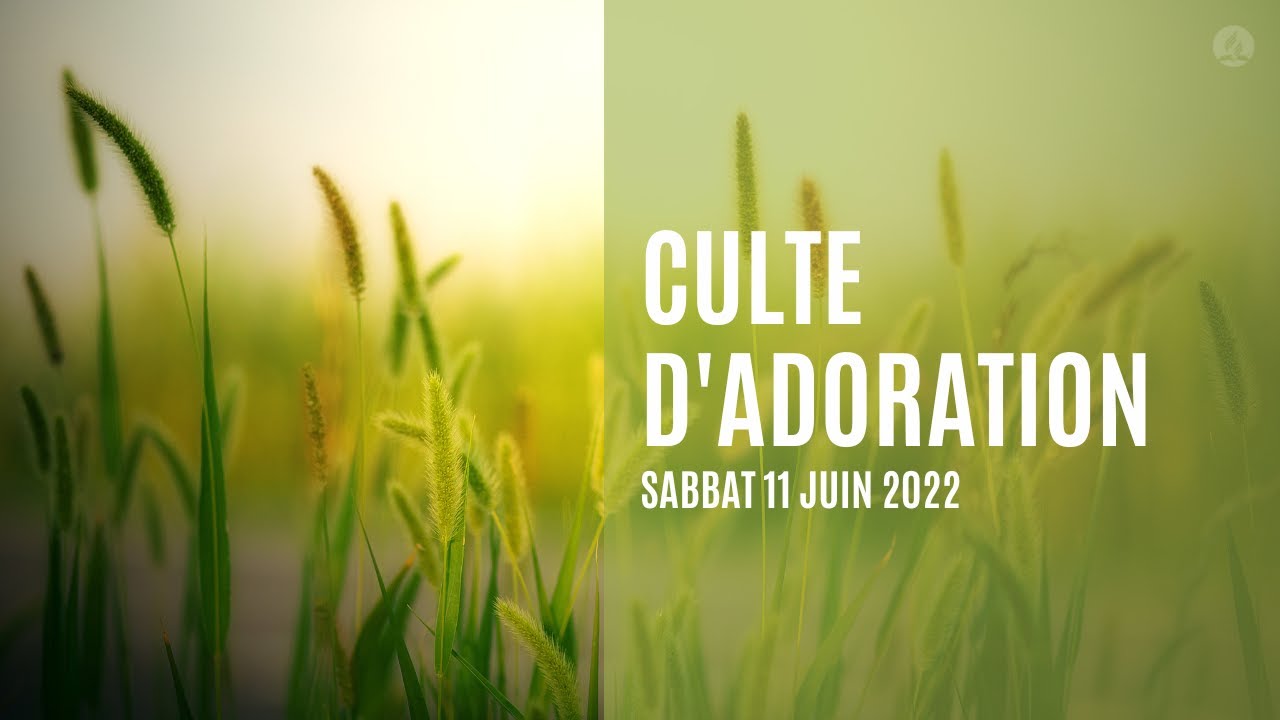 Sabbat 27 août 2022 - Culte d'adoration: Les bienfaits d'une véritable ...