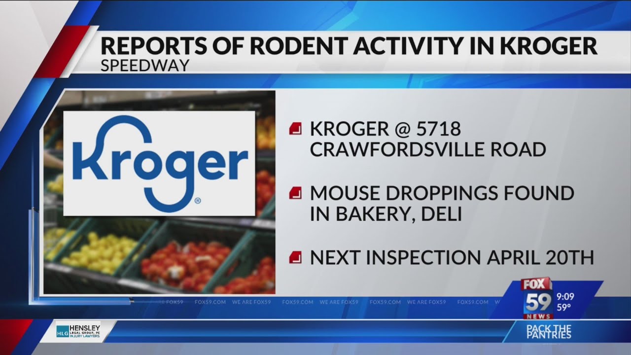 Reports of Rodent Activity in Kroger - YouTube