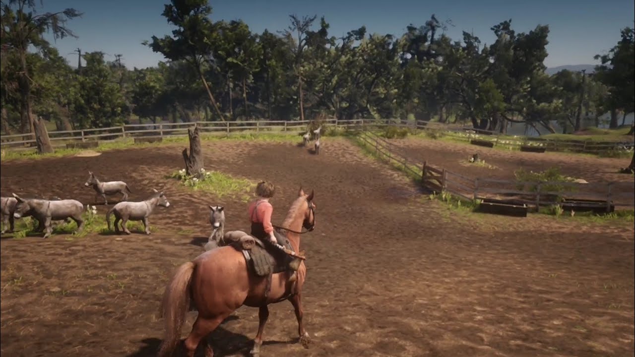 RDR2 - Donkeys in a ranch being hunted - YouTube