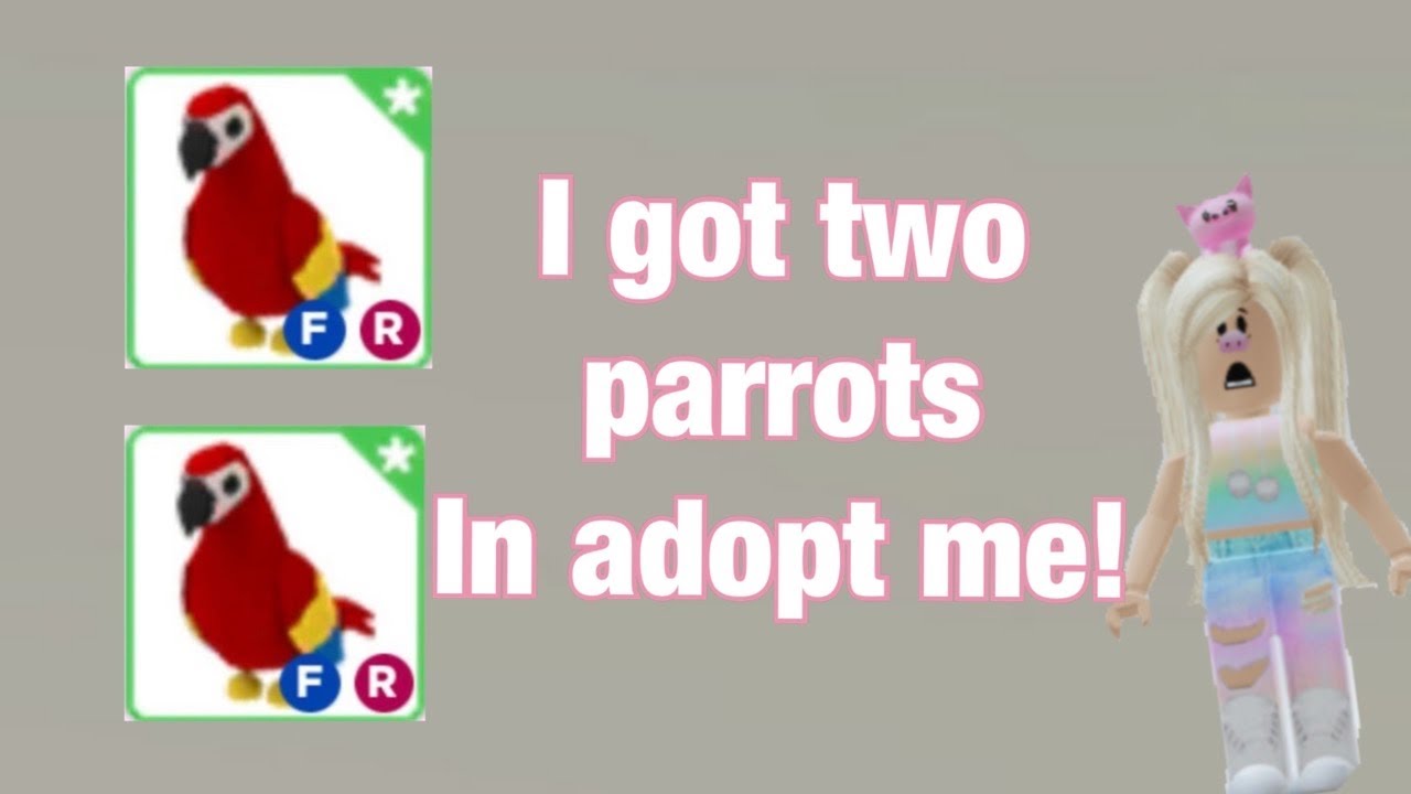 I got a SECOND Parrot|| Adopt Me - YouTube