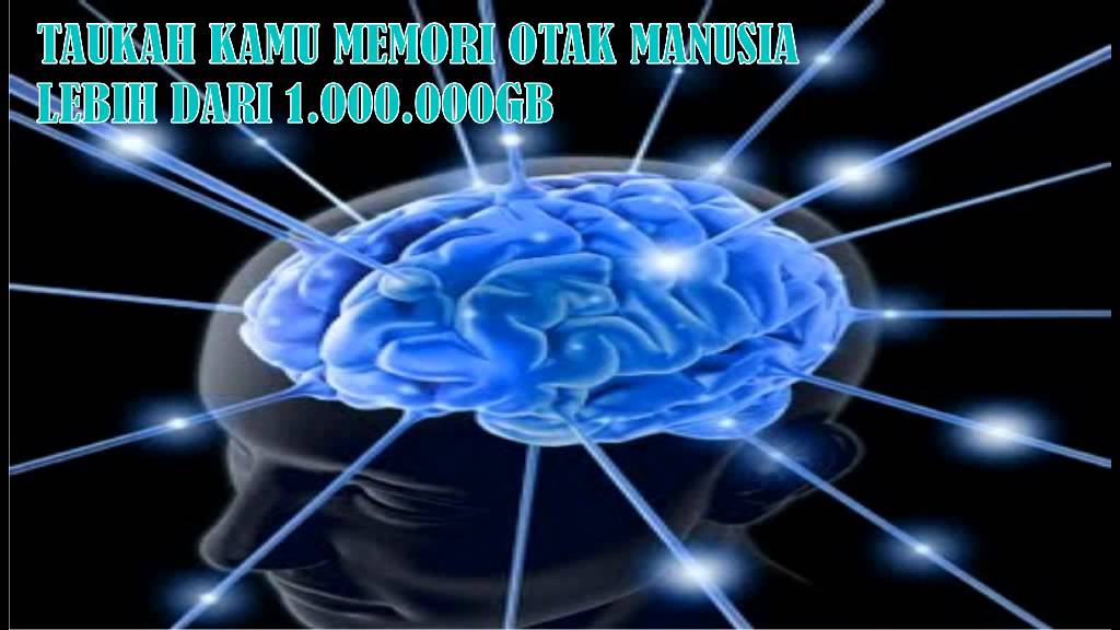 cara kerja memory otak yg berkapasitas lebih dari 1.000.000GB.avi - YouTube