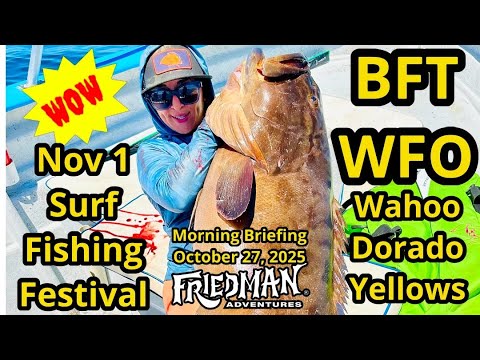 EPIC Bluefin Tuna Fishing, Big Yellows, Wahoo, Mexico🌊 Perfect Weather ...