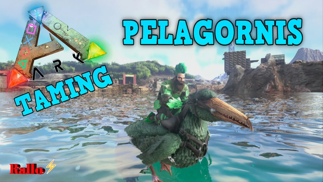 ARK SURVIVAL PS4 TAMING PELAGORNIS - YouTube